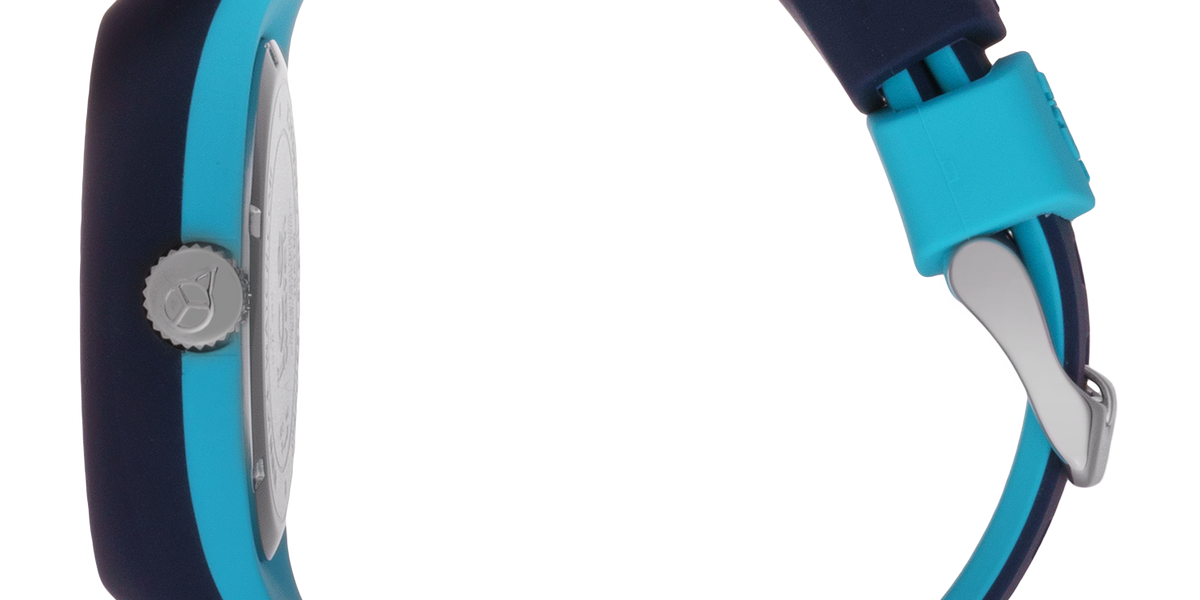 Pierre Leclercq • ICE watch South Africa