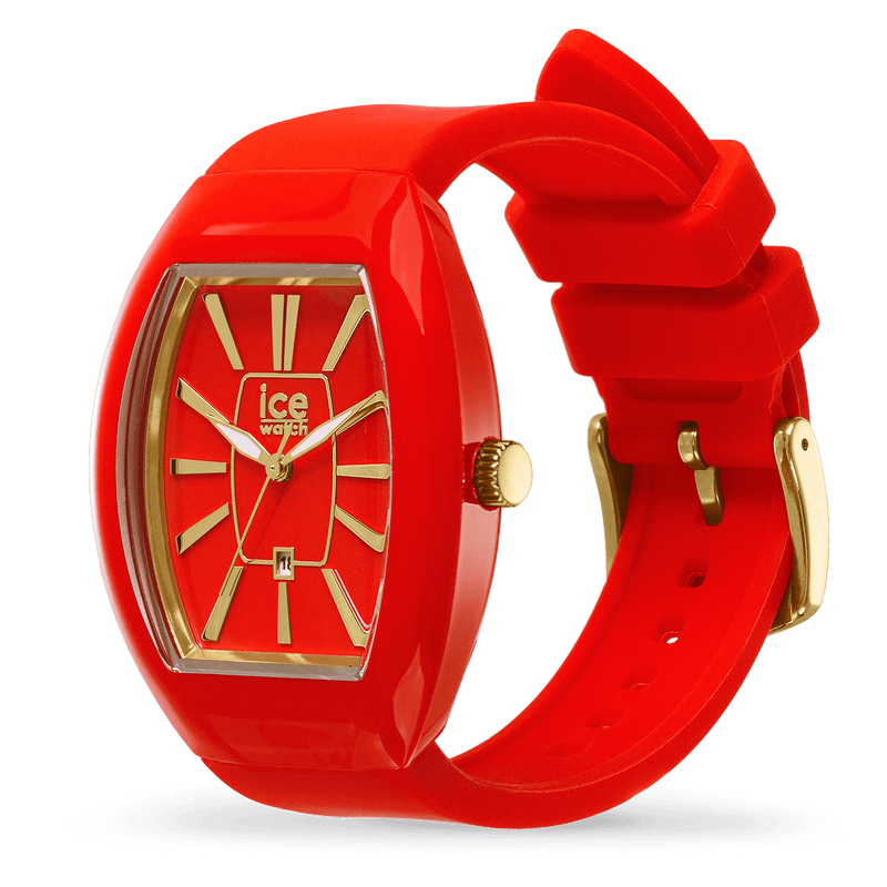 ICE Watch | South Africa | Official website • ICE watch South Africa
