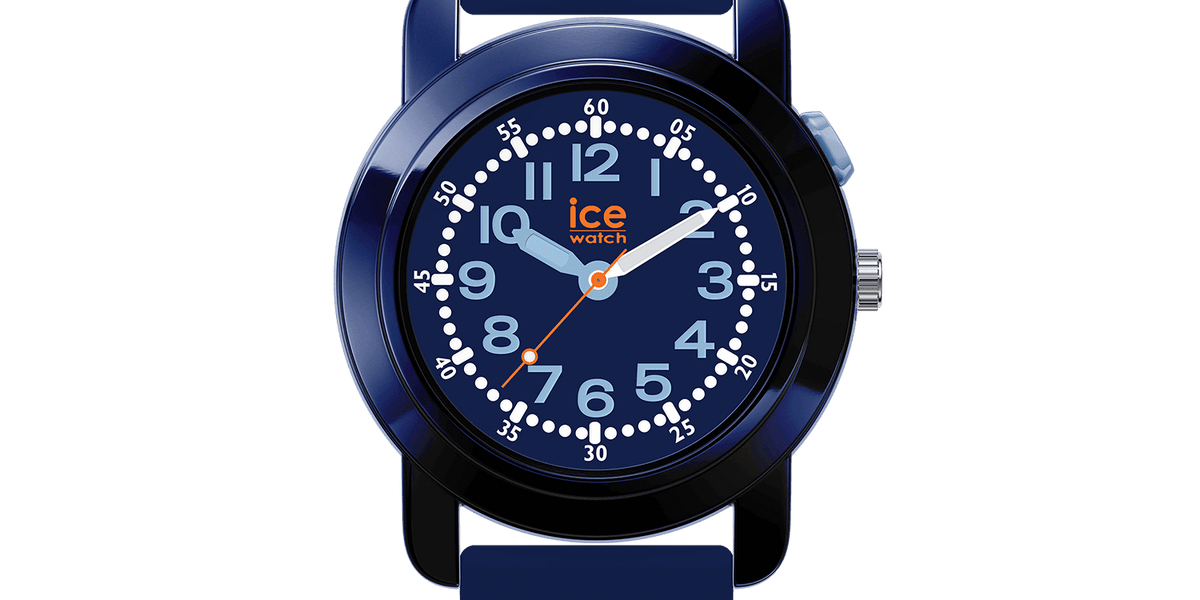ICE find Blue • ICE watch South Africa